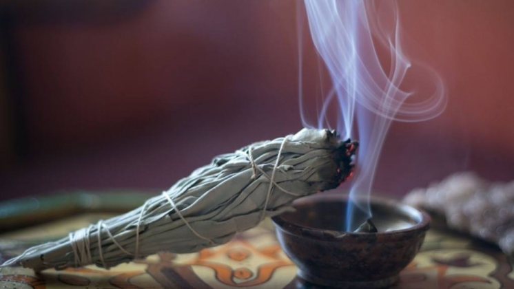 Confira 9 benefícios incríveis ao queimar sálvia na sua casa - Educadores