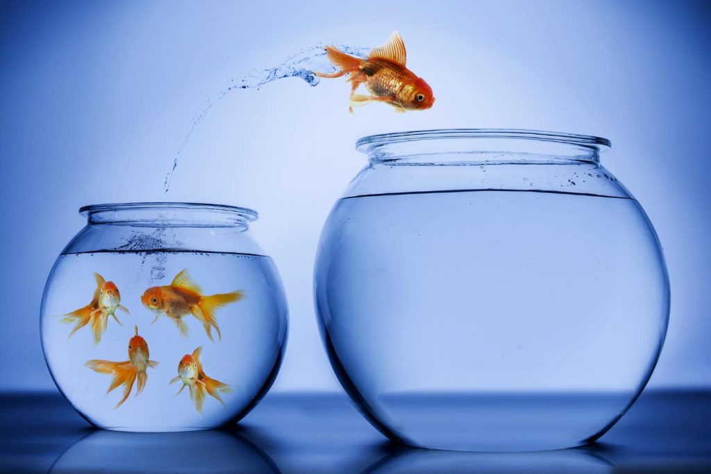 O poder das metáforas: conheça - Educadores